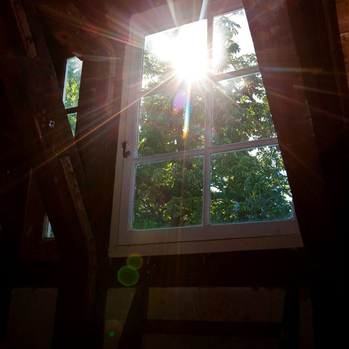 Remembering Anne Frank on the 90th anniversary of her birth | Oregon ...